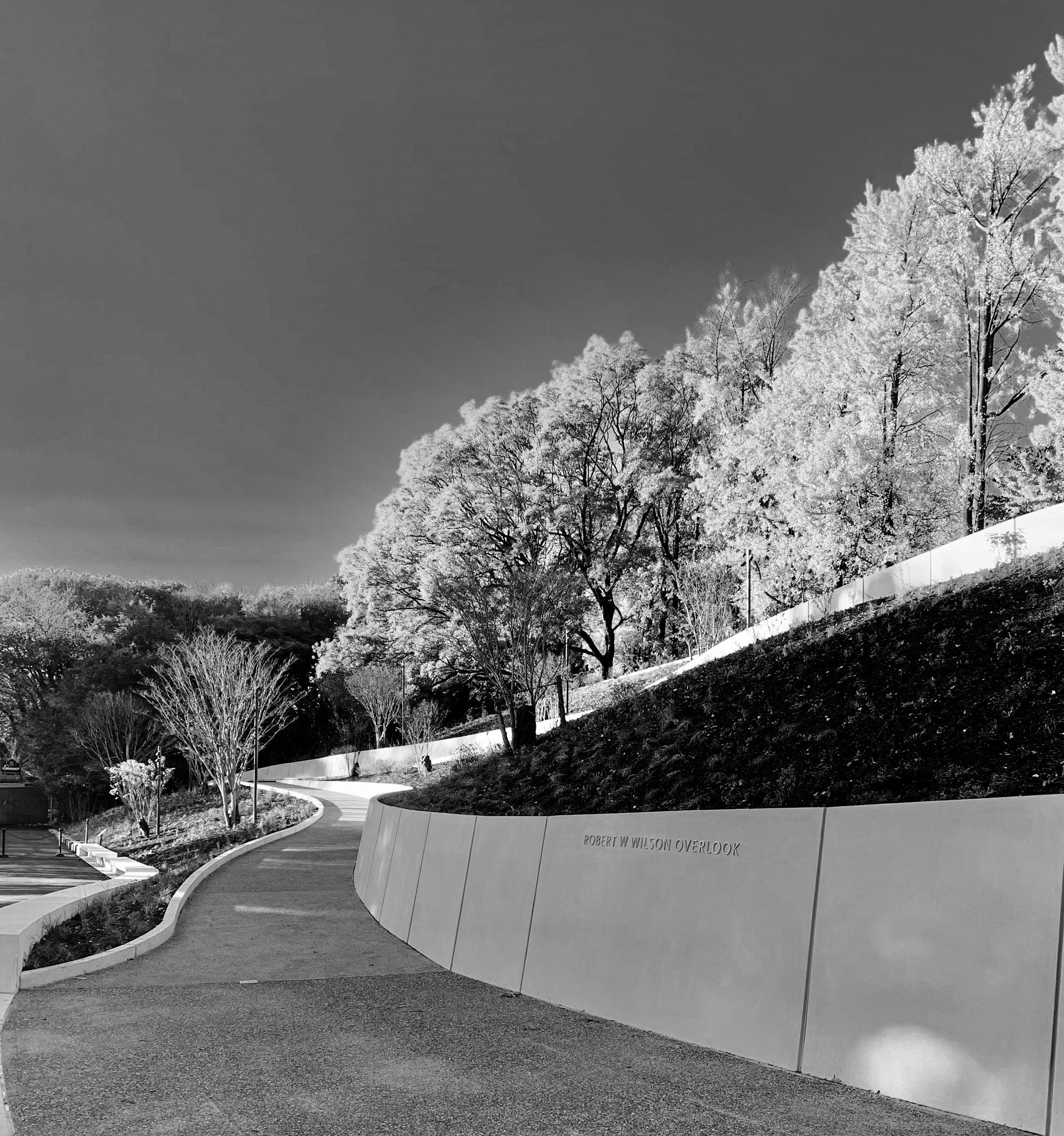 Robert W. Wilson Overlook Opens at Brooklyn Botanic Garden - News ...